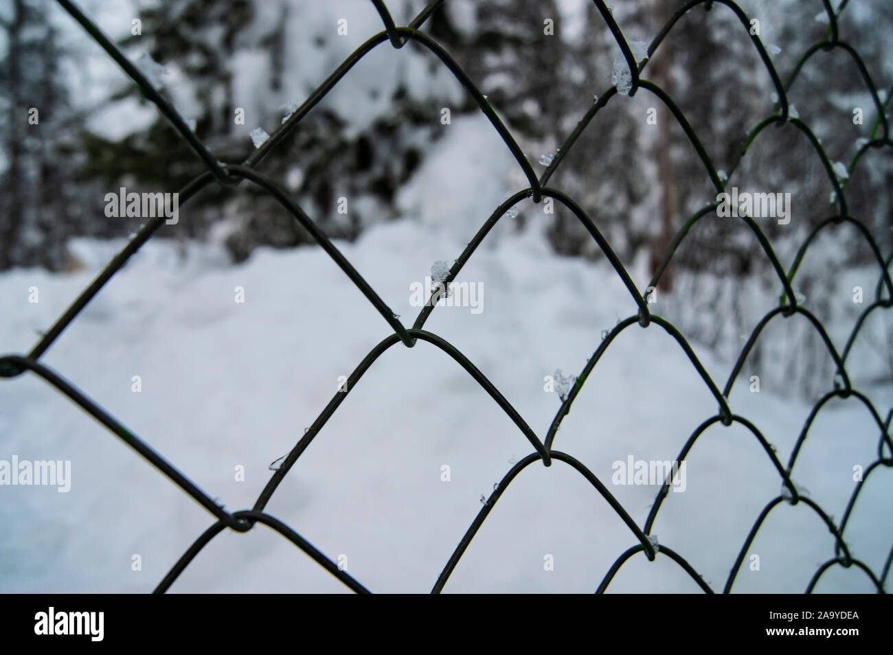 Fence mesh chain-link in winter. Rhombic steel pattern Stock Photo - Alamy