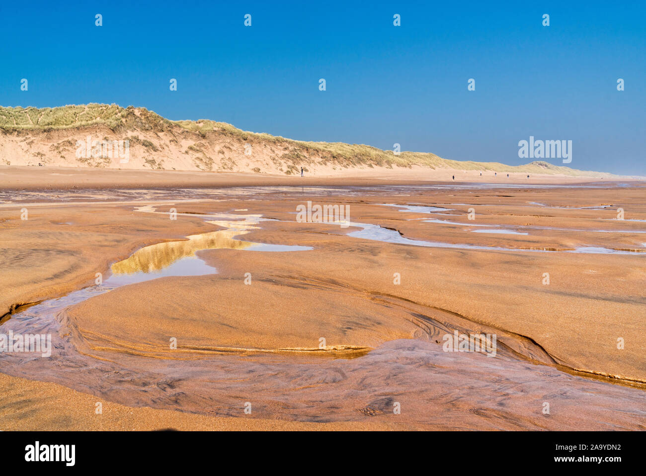 Balmedie country park hi-res stock photography and images - Alamy