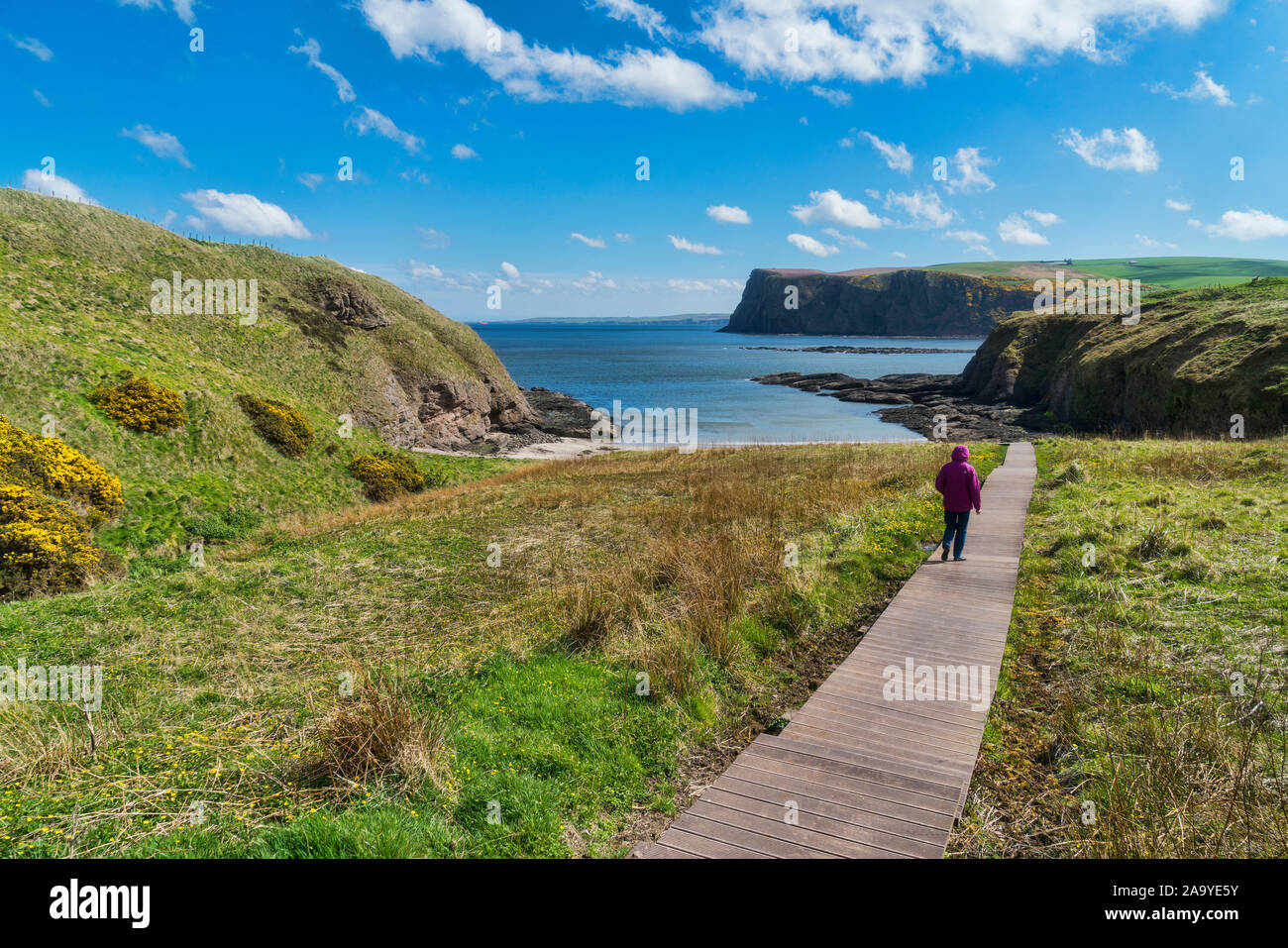 Moray coast trail hi-res stock photography and images - Alamy