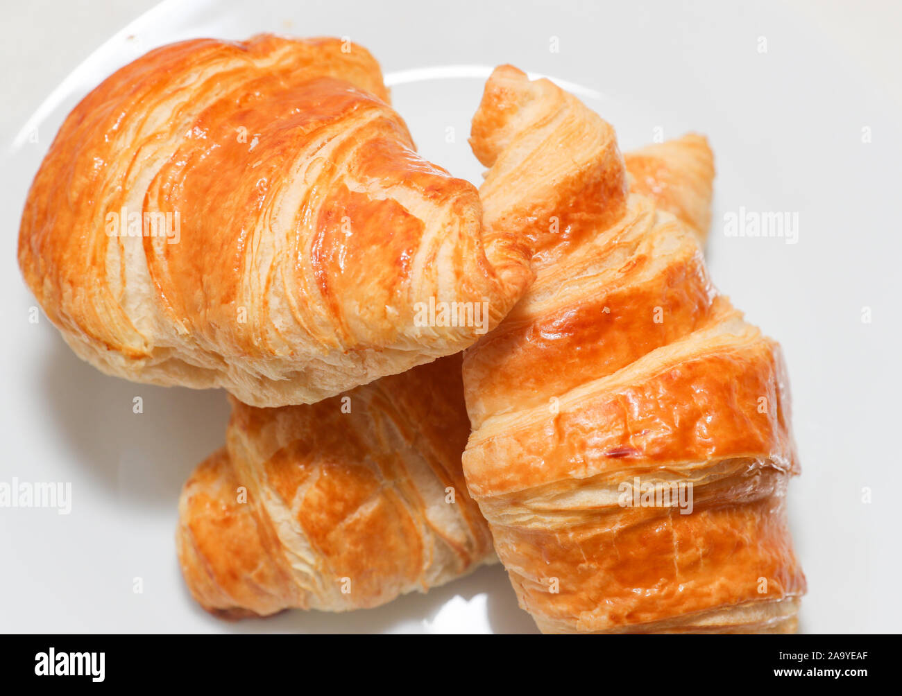 Plain croissant on white background - Image Stock Photo - Alamy