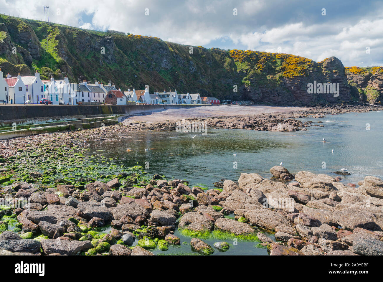 Pennan coastal village, Moray Firth, Aberdeenshire, Scotland UK Stock ...
