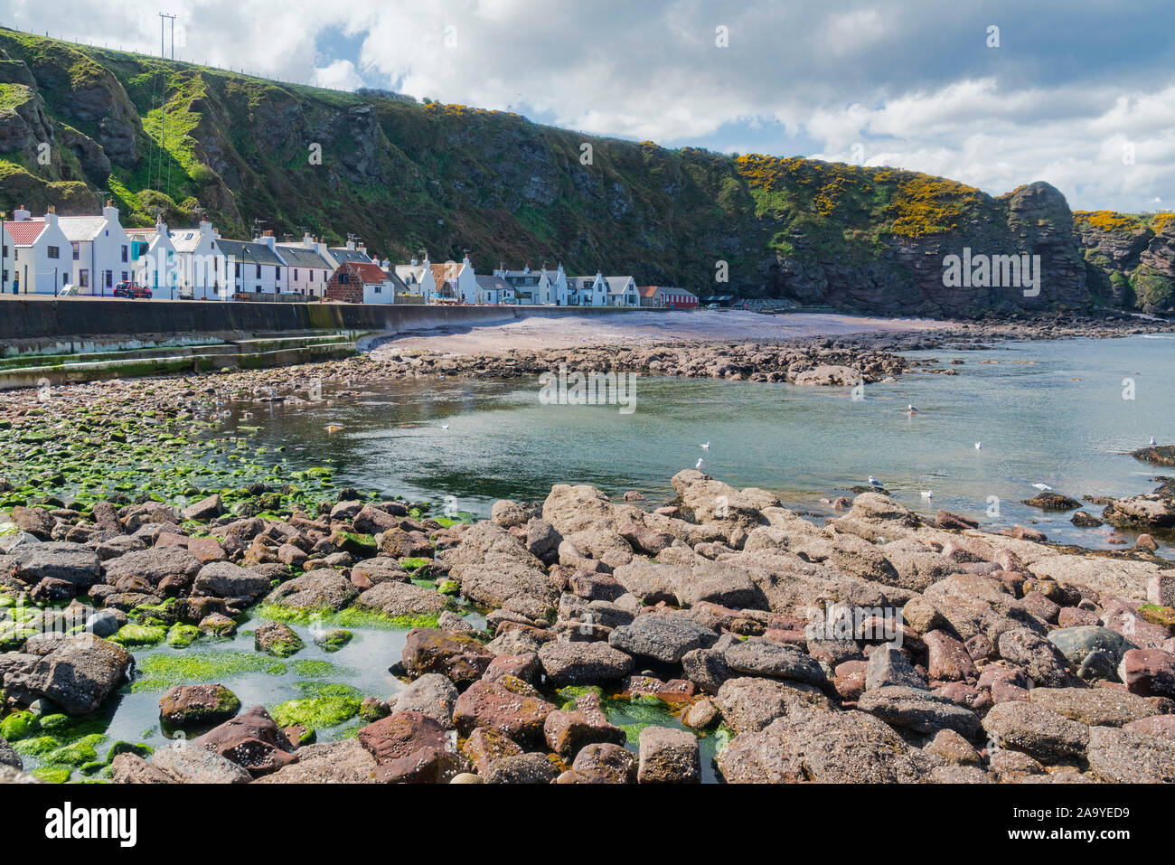 Pennan coastal village, Moray Firth, Aberdeenshire, Scotland UK Stock ...