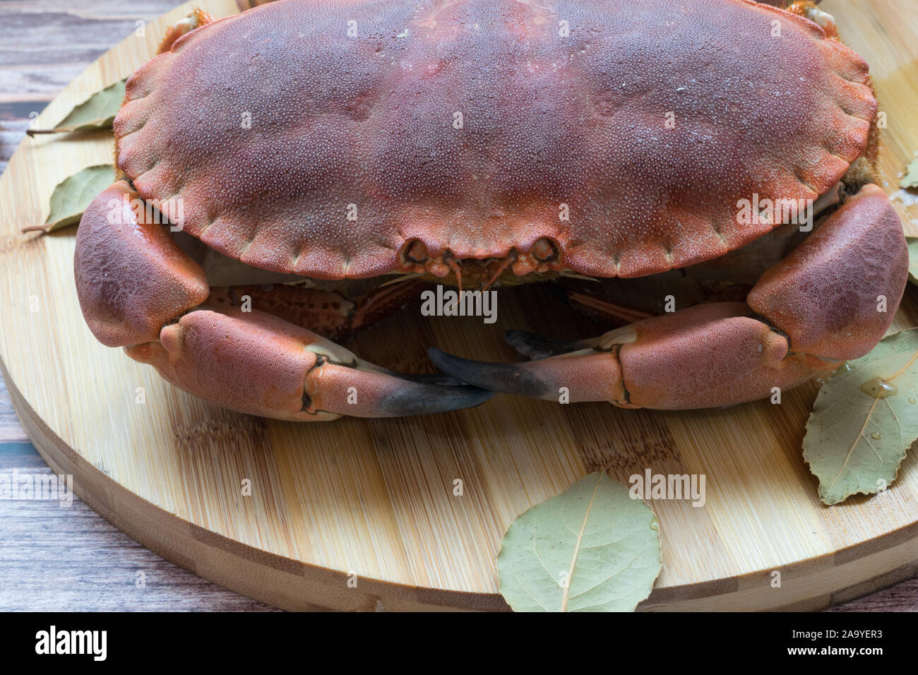 Crab claw cooked hi-res stock photography and images - Alamy