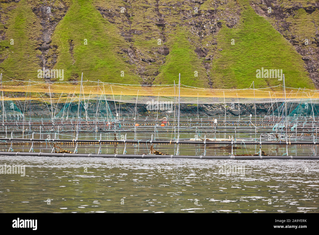 Salmon fishing farm pools in Faroe islands fjords. Aquaculture industry ...