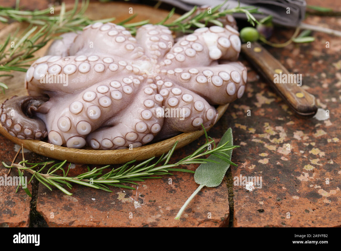 natural fresh octopus with herbs and wine Stock Photo - Alamy