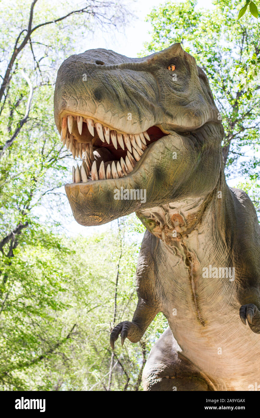 Predatory dinosaur hi-res stock photography and images - Alamy
