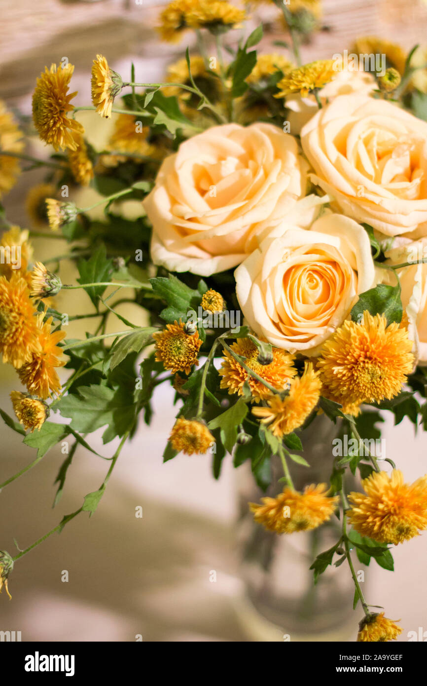 Yellow roses chrysanthemums hi-res stock photography and images - Alamy