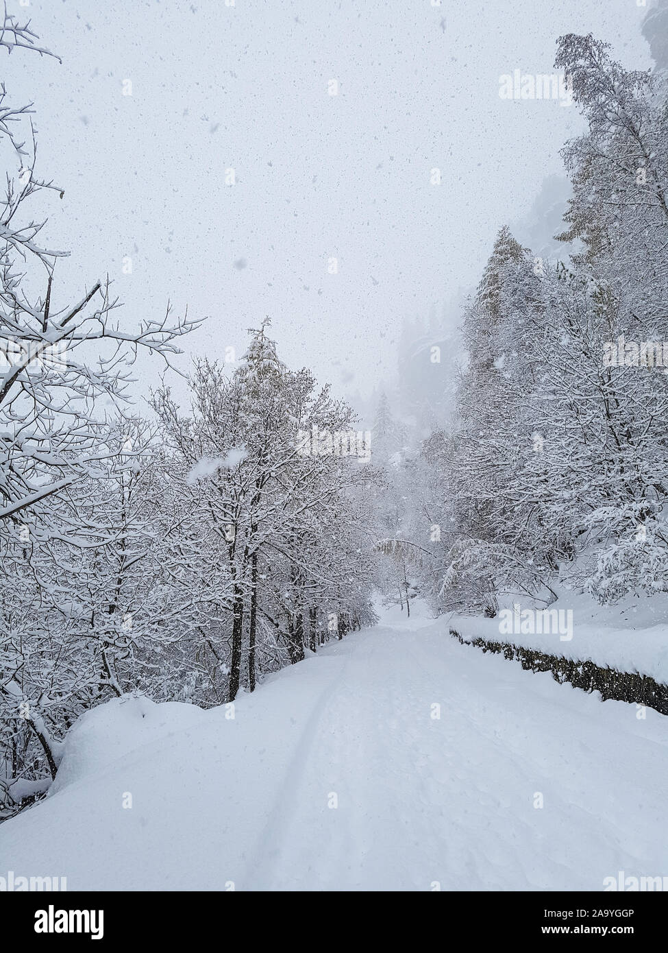 Snow covered mountain road. Winter landscape during a snowfall Stock ...