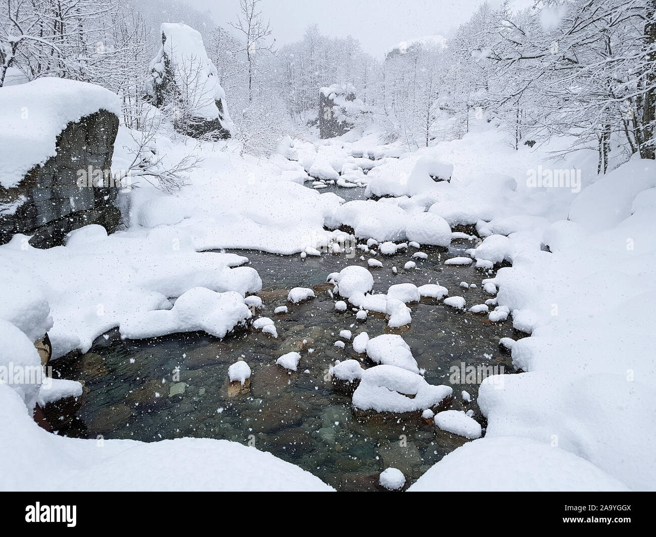 Mountain stream during a snowfall. Winter landscape with snow Stock ...