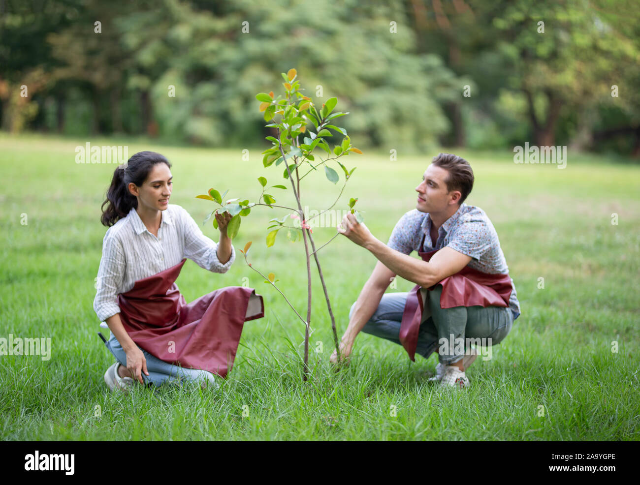 ํYoung women and man volunteers planting trees in garden Stock Photo ...