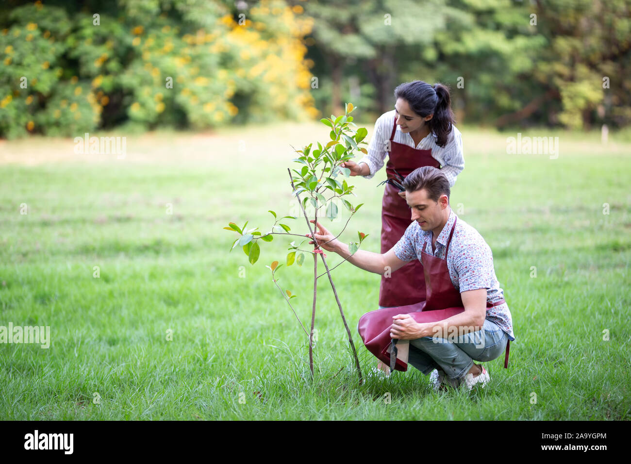 Women volunteer planting trees hi-res stock photography and images - Alamy