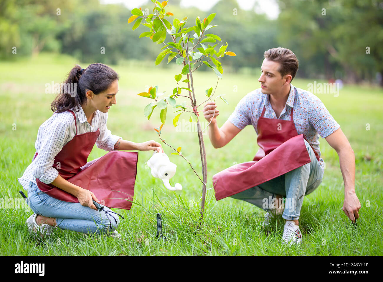 Women volunteer planting trees hi-res stock photography and images - Alamy