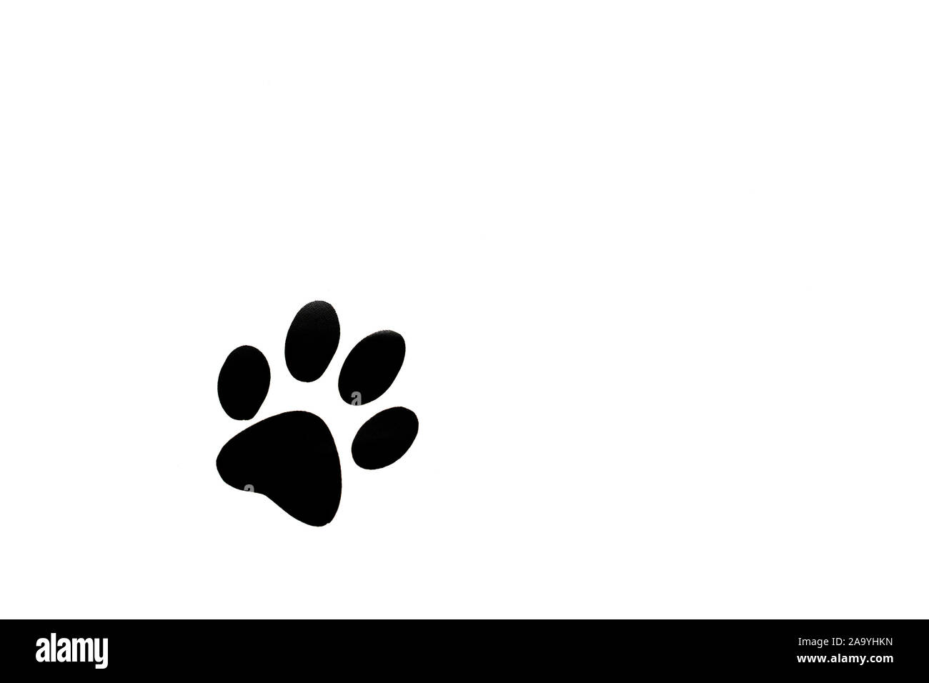 dog paw isolated on white background Stock Photo - Alamy