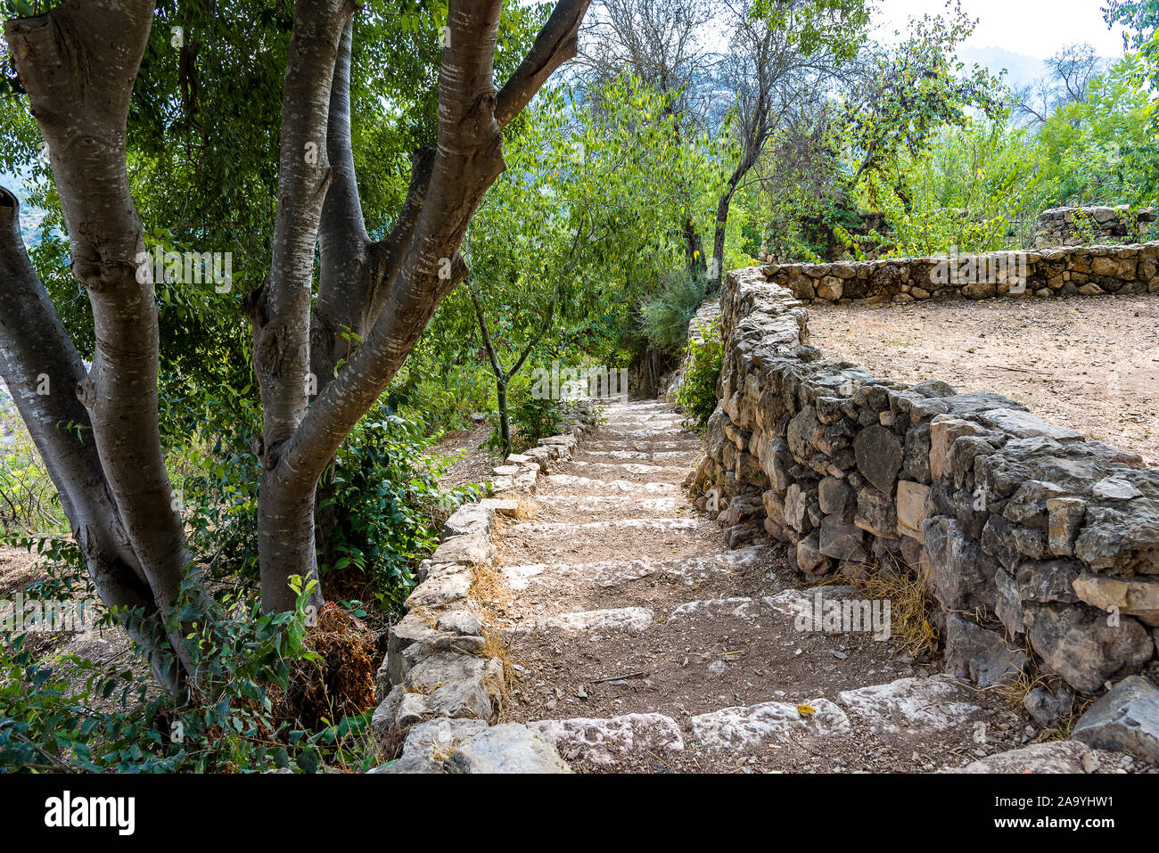 Hiking in jerusalem hi-res stock photography and images - Alamy