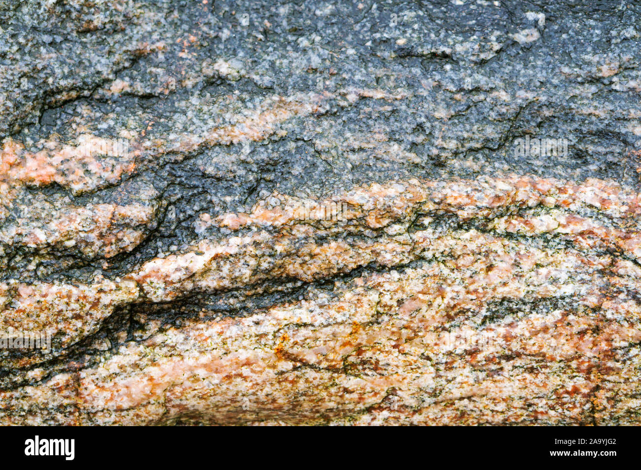 background stone marble granite, texture of sea stone Stock Photo - Alamy