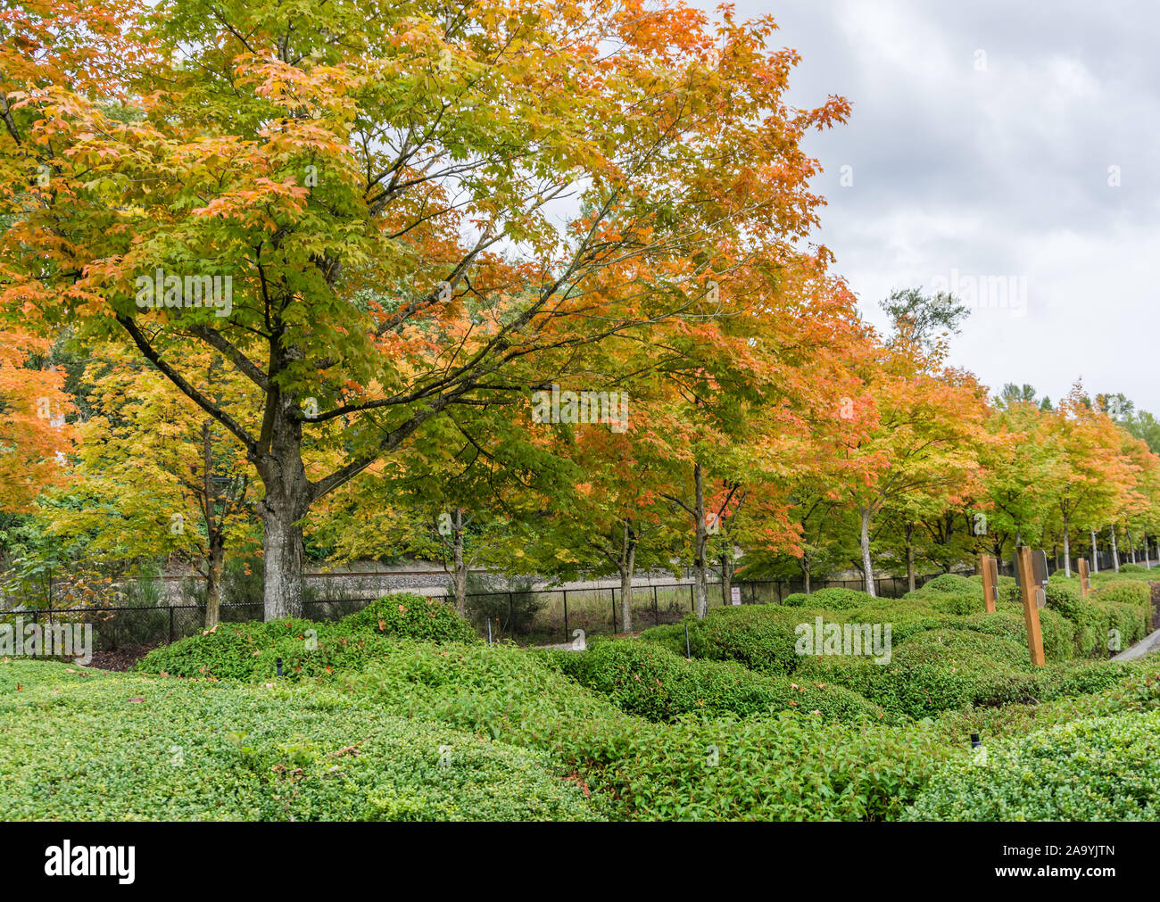 Trees are bursting with autumn colors at Gene Coulon Park in Renton, Washington Stock Photo - Alamy