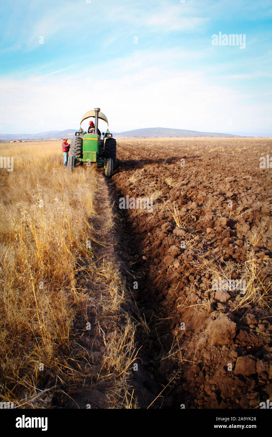 Tractor and farmers working in the field Stock Photo - Alamy