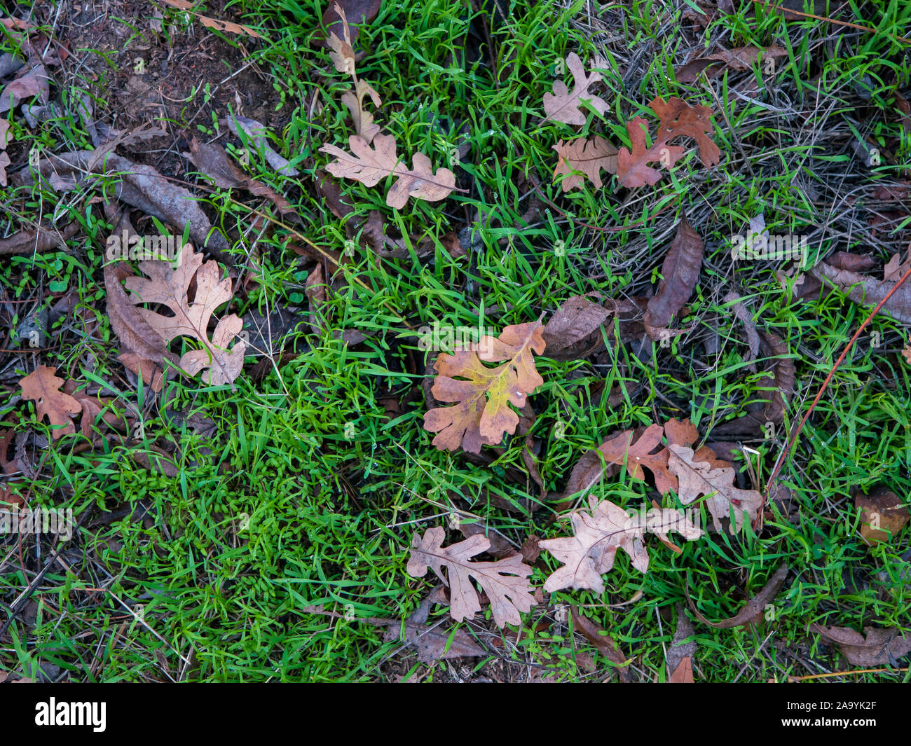 Disintegration texture hi-res stock photography and images - Alamy