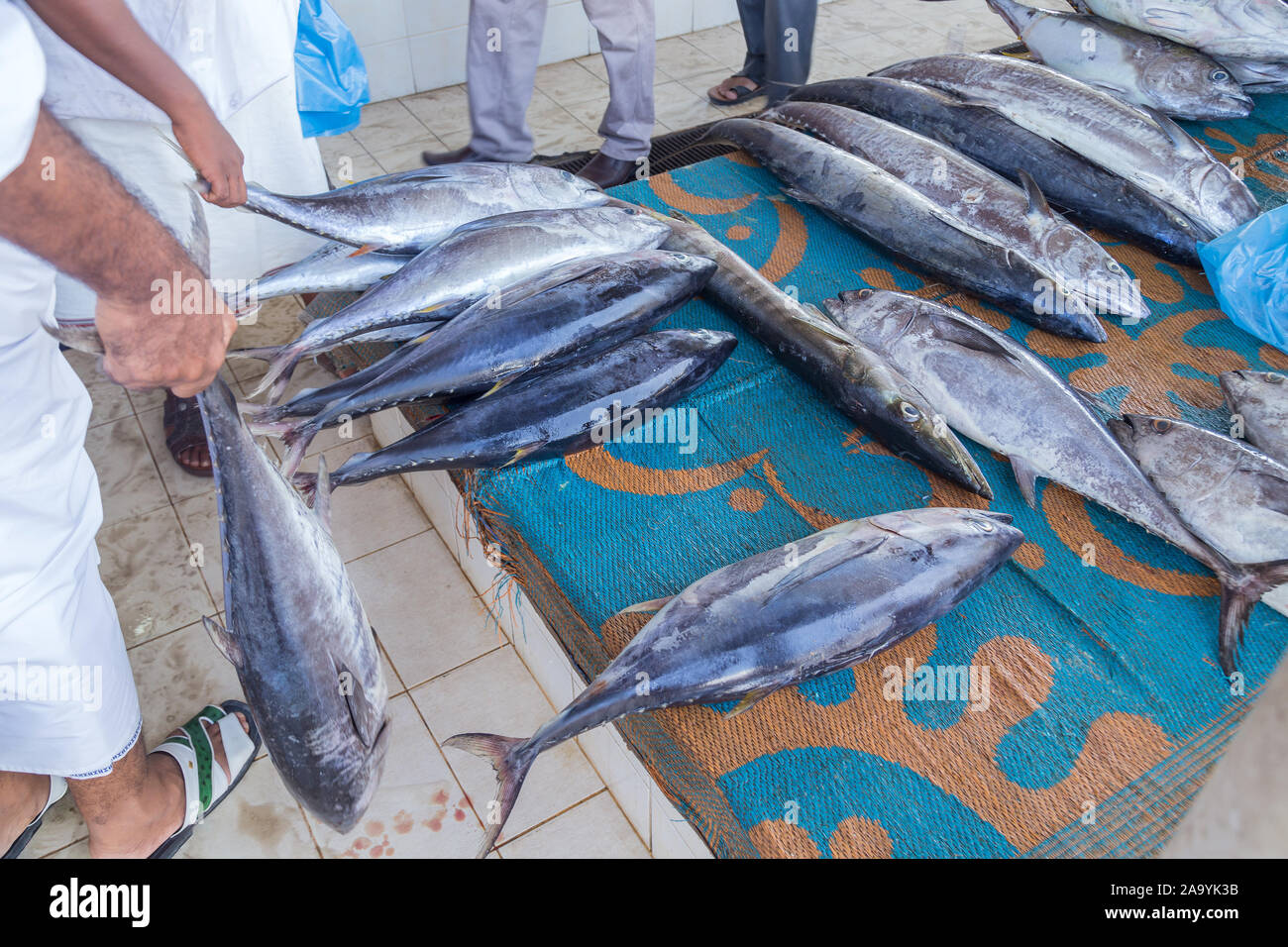 Fish market in Hodeida on Red Sea, Yemen Stock Photo - Alamy