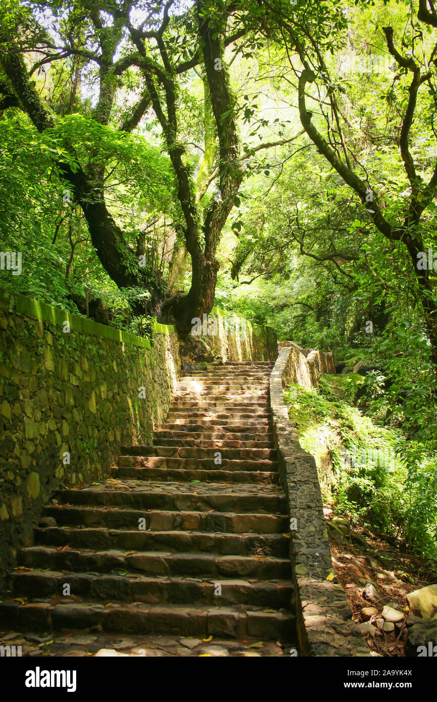 Stairs in the jungle at tepoztlan mexico Stock Photo - Alamy