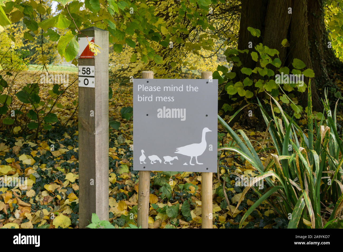 Sign saying "please mind the bird mess" with outlines of Canada Geese ...