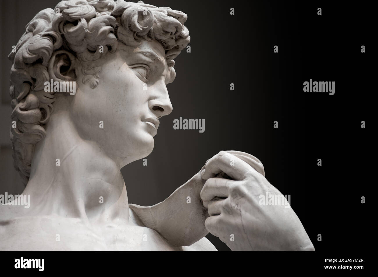 Florence, Italy - 2019, November 10: The original David marble statue ...