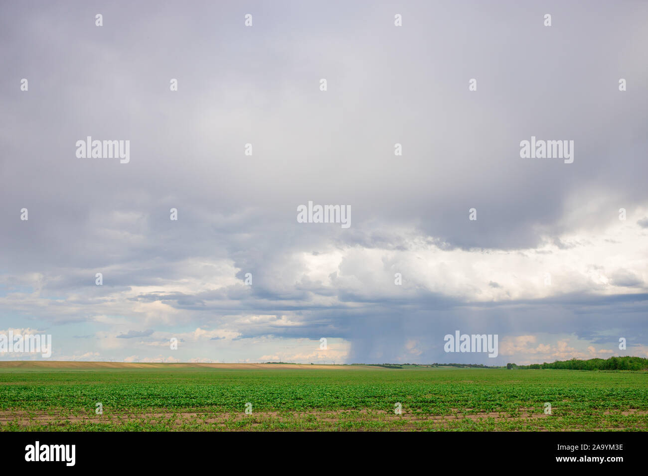 Dark clouds on sky with incoming rain over agricultural fields in ...