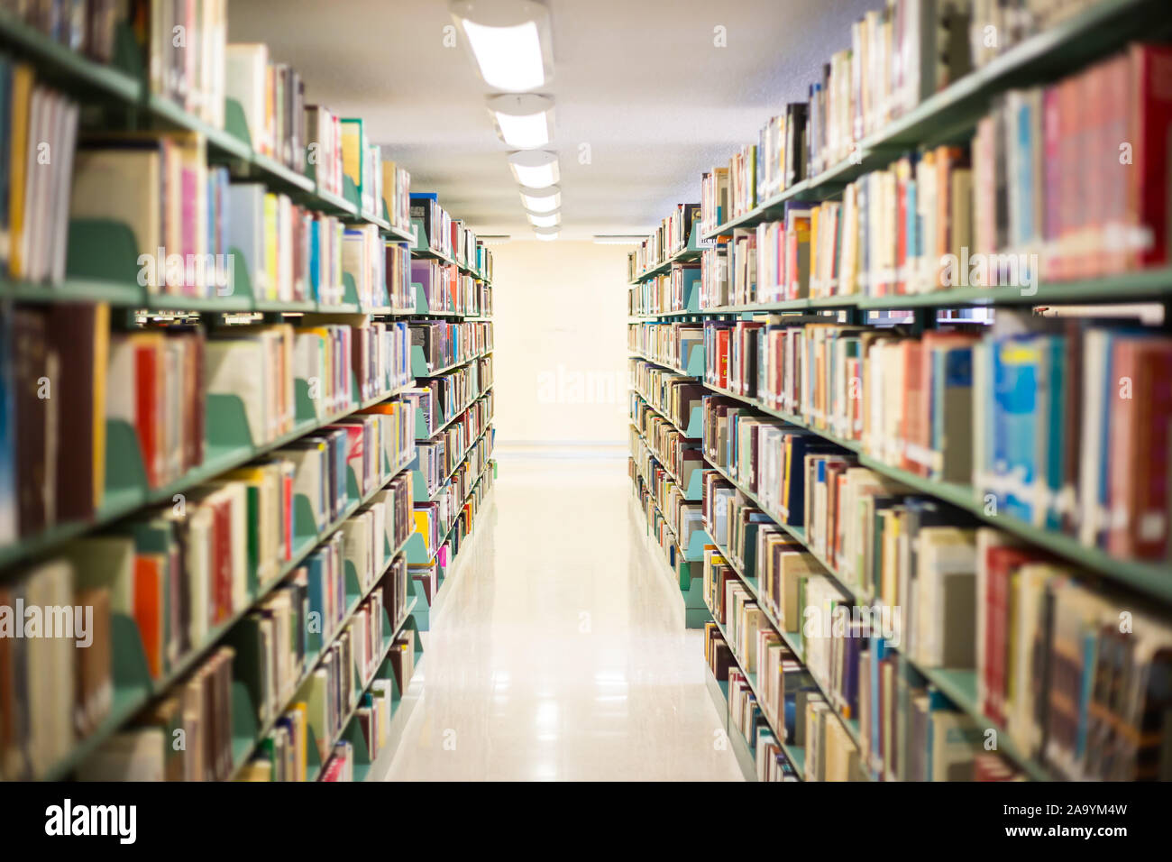 Library hall in a high school, college campus Stock Photo - Alamy