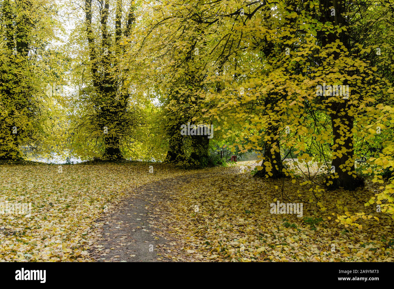 Autumn colour in the grounds of Compton Verney house, Warwickshire, UK ...