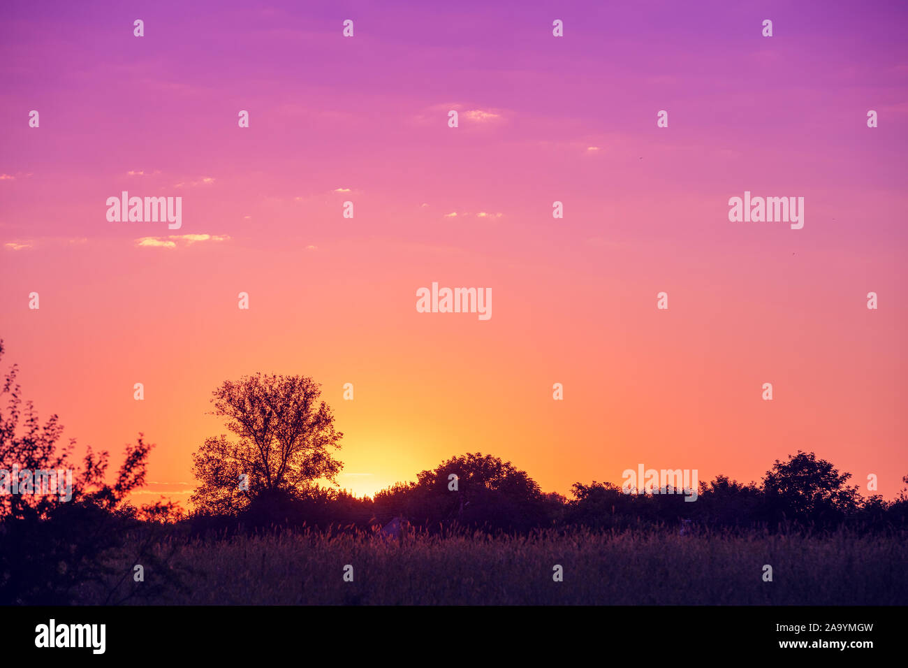 Clouds living coral hi-res stock photography and images - Alamy