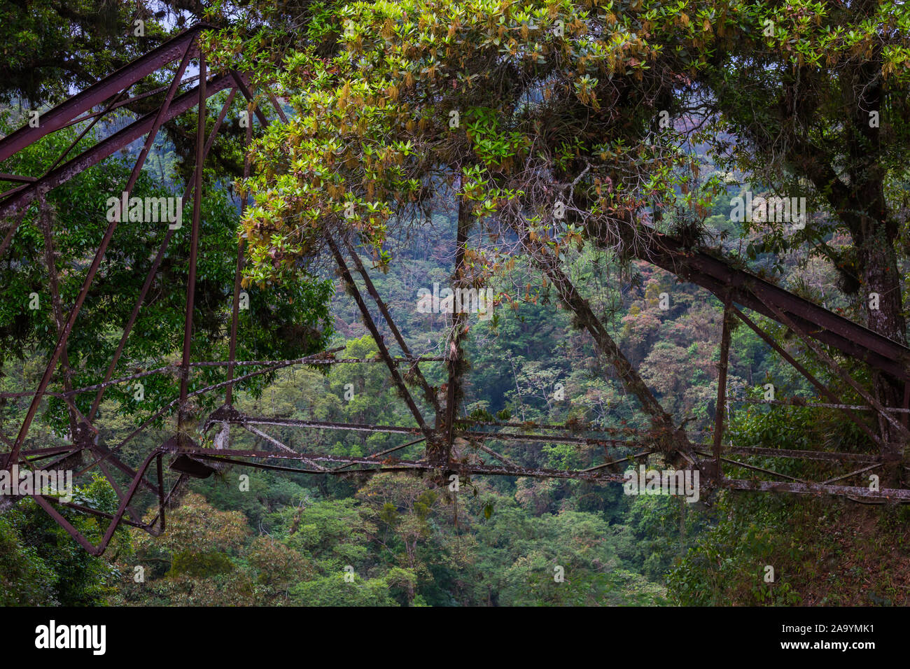 Old bridge in the nature Stock Photo - Alamy