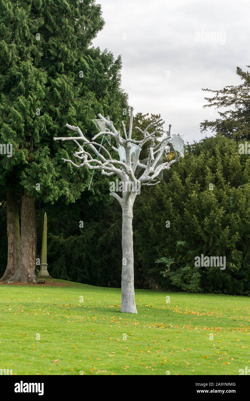 Say tree hi-res stock photography and images - Alamy
