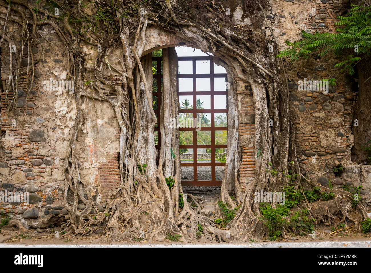 Hernan Cortes house ruins, with giant tree roots at La Antigua ...