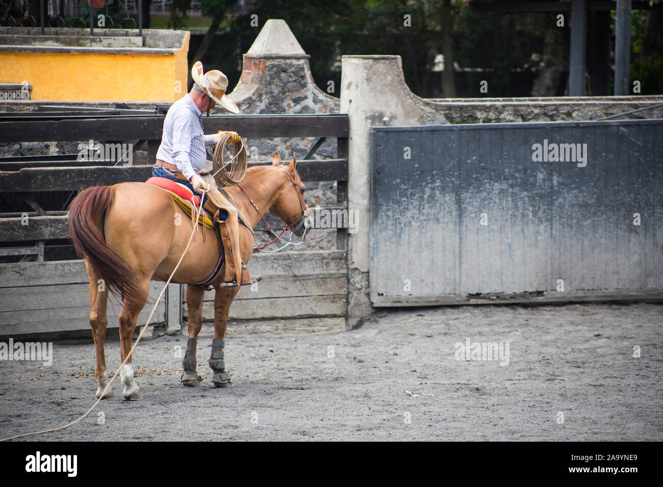 Charro jalisco mexico hi-res stock photography and images - Alamy