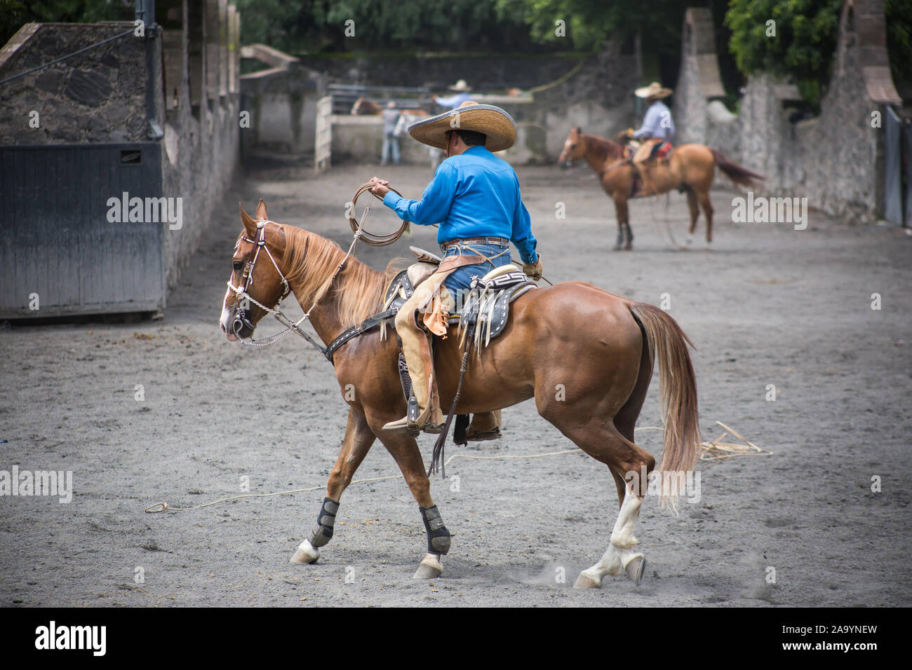 Traditional Rodeo Show in Mexico City Stock Photo - Alamy