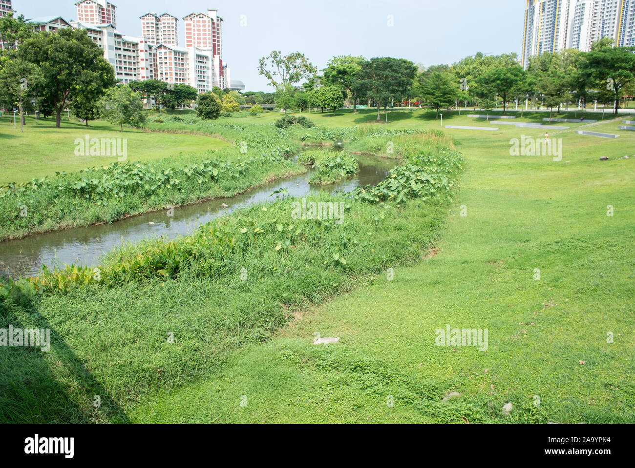 Plants growing by river hi-res stock photography and images - Alamy