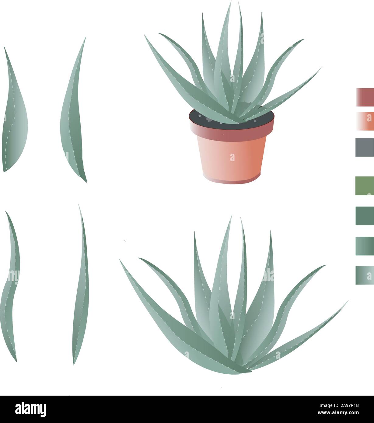 Aloe Vera isolated on white photo-realistic vector Stock Vector Image ...