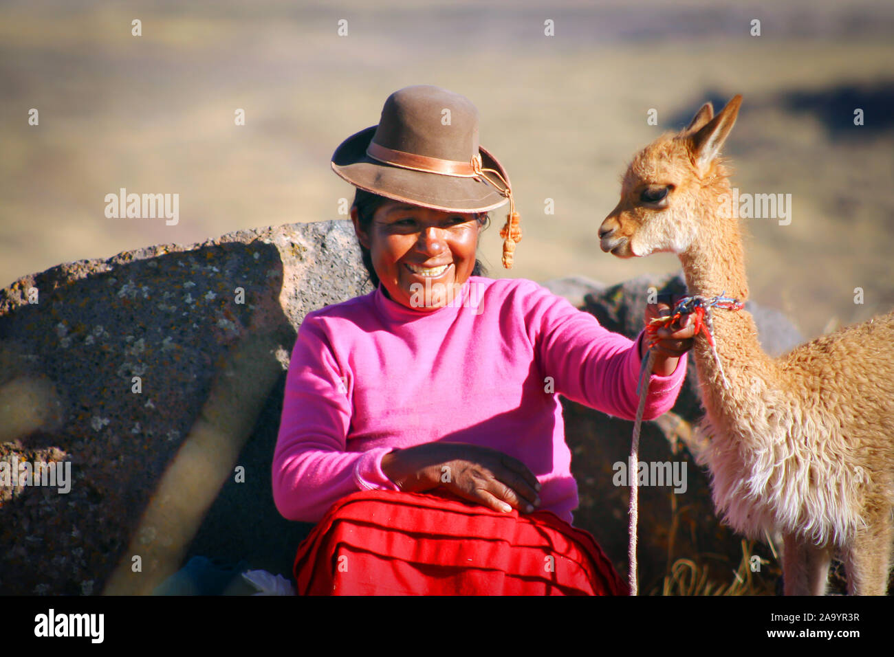 Woman latin american llama hi-res stock photography and images - Alamy