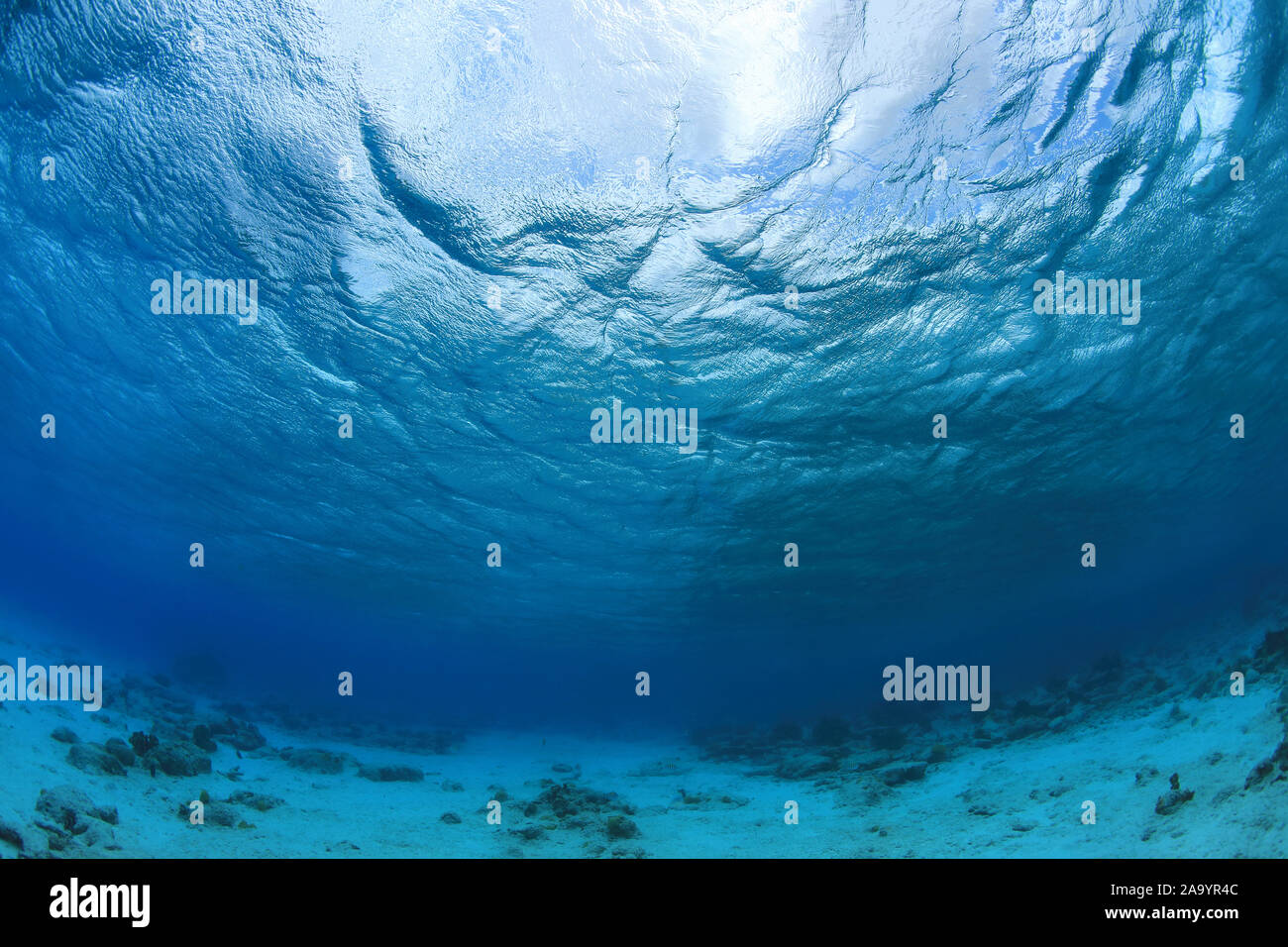 Sea floor and water surface in the caribbean sea Stock Photo - Alamy