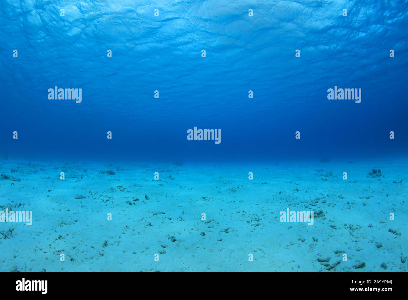 Atlantic Ocean Floor High Resolution Stock Photography and Images - Alamy