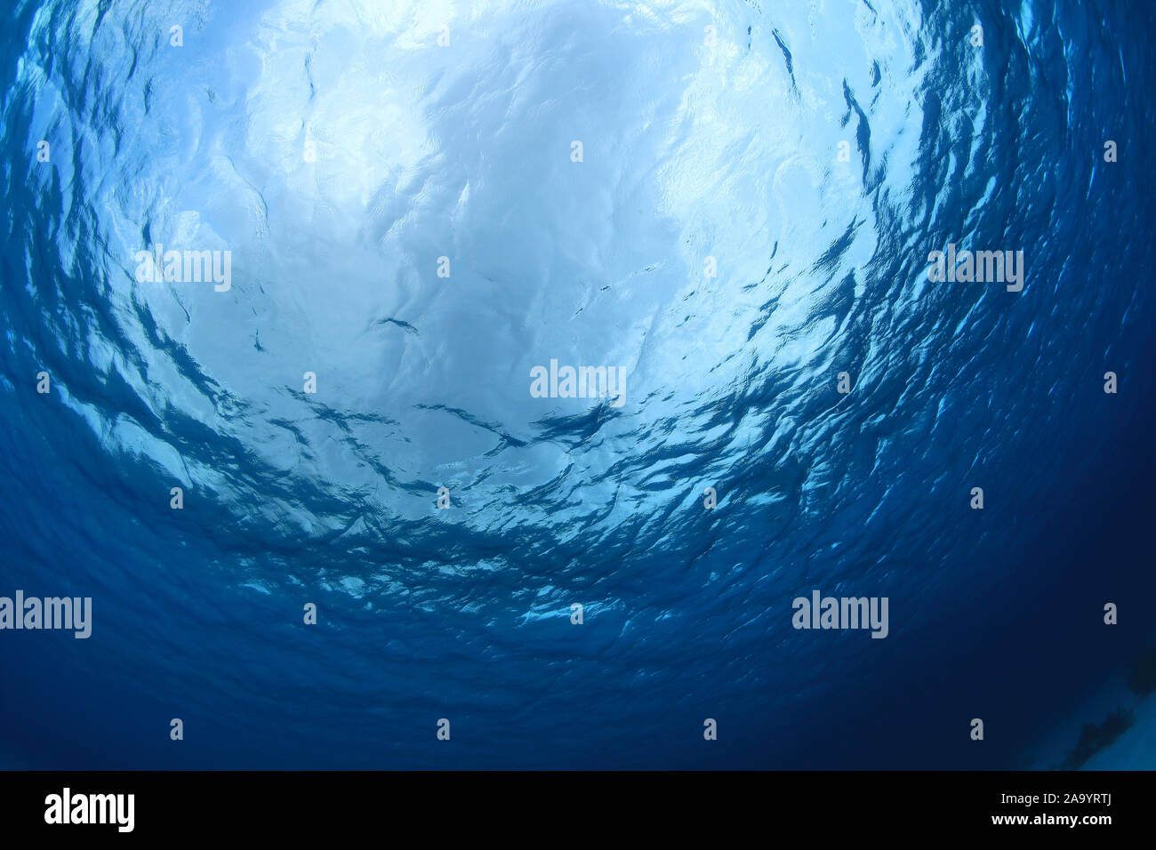 Water surface structure underwater in the caribbean sea Stock Photo - Alamy