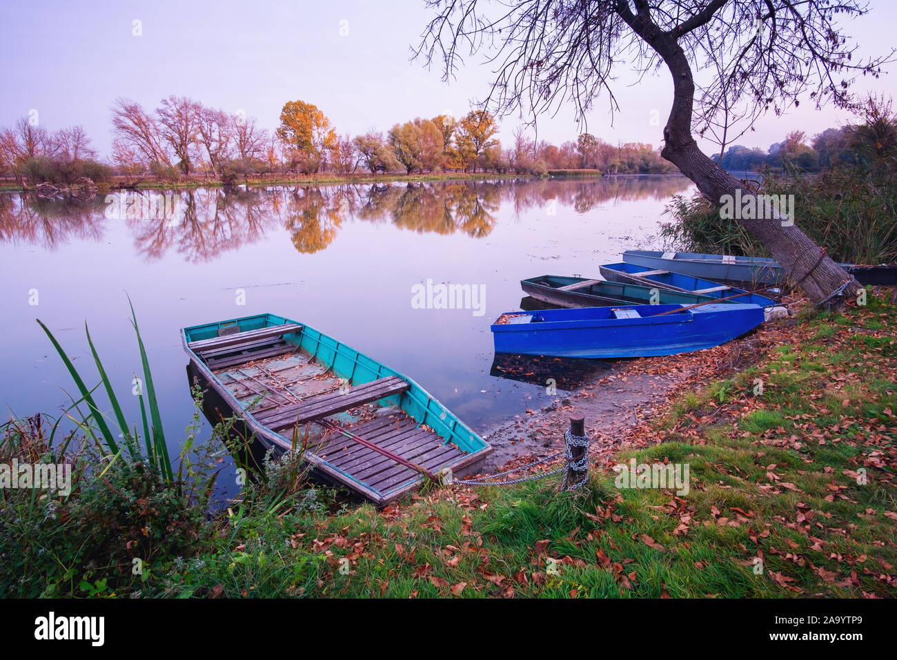 Old boat on the autumn pond in Tisza, Hungary Stock Photo - Alamy