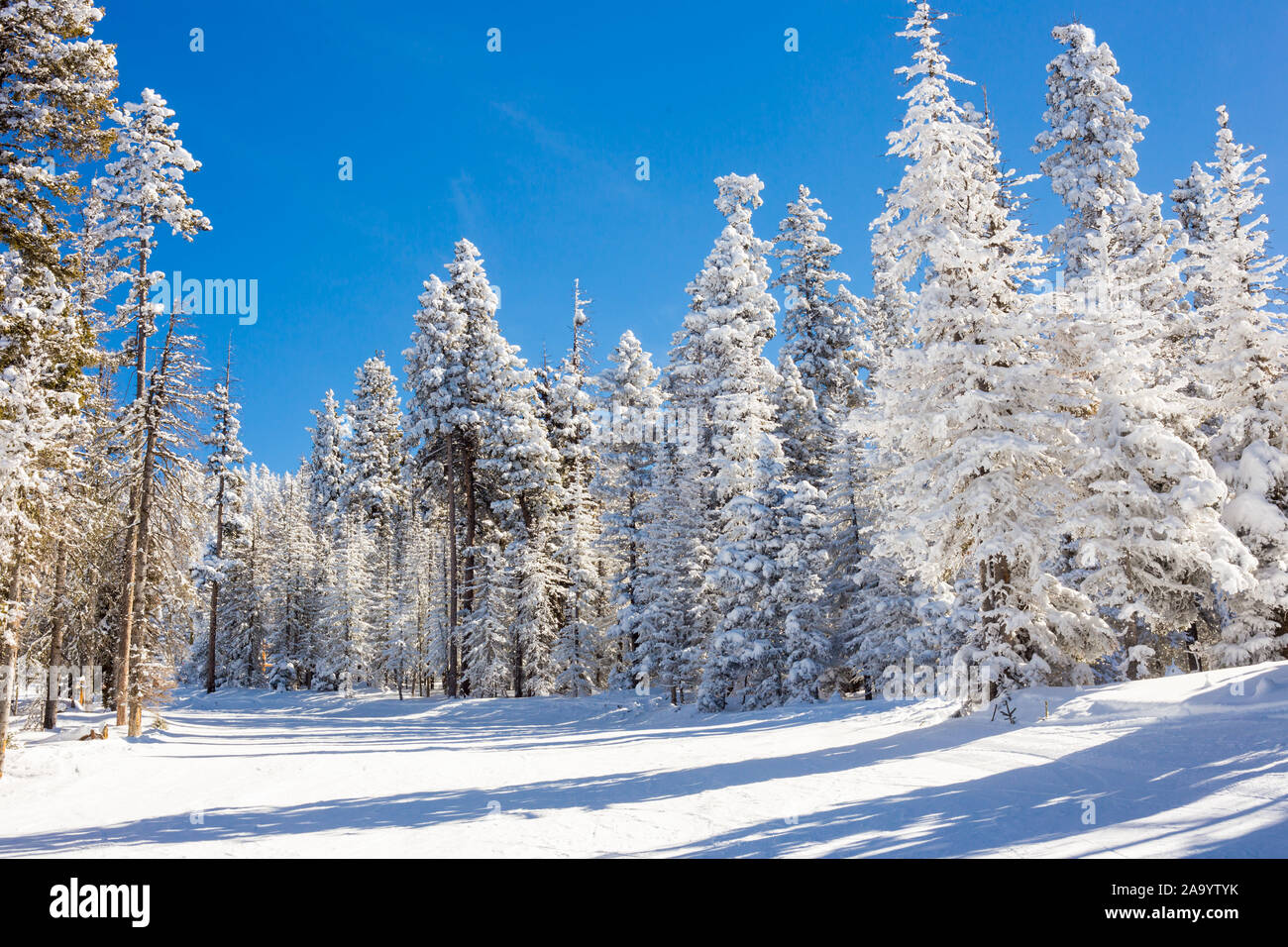 Angel fire ski resort hi-res stock photography and images - Alamy