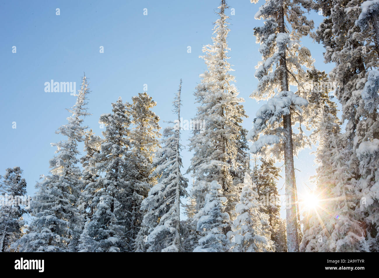 View at the ski slopes piste in the mountains of Angel Fire, New Mexico ...