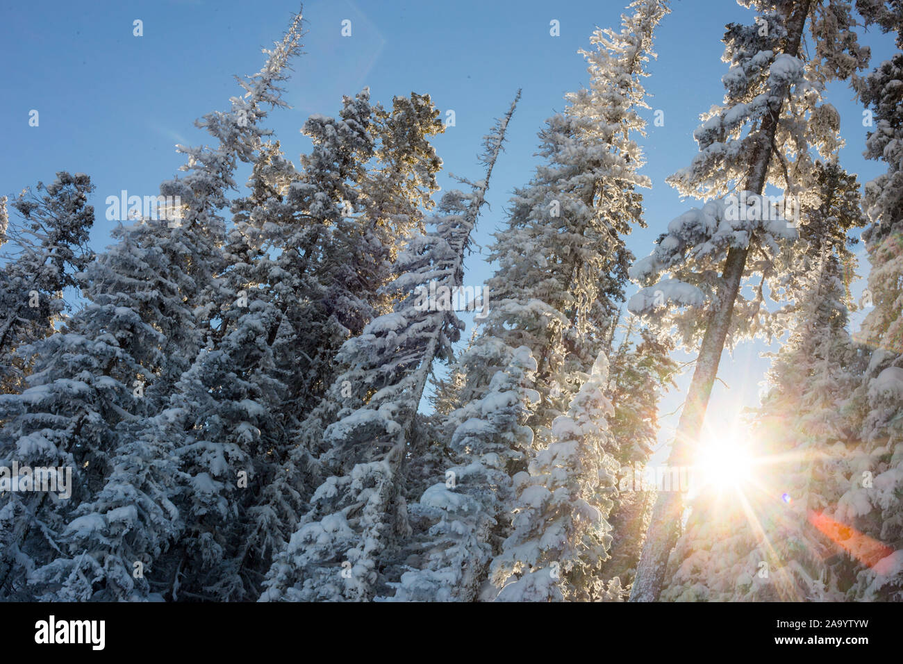 Angel Fire Ski Resort High Resolution Stock Photography and Images - Alamy