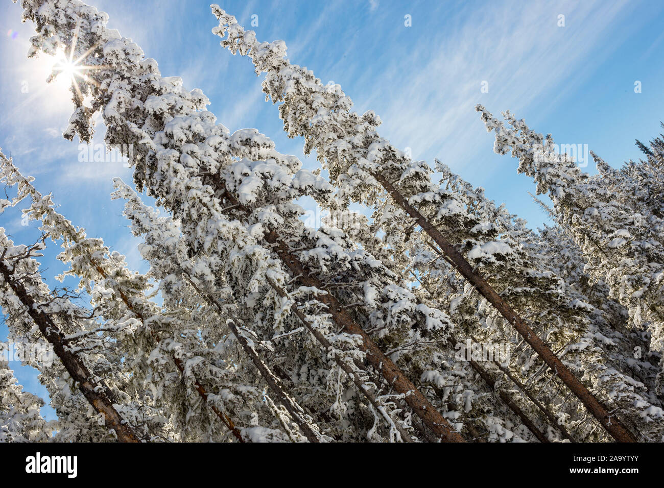 Angel Fire Ski Resort High Resolution Stock Photography and Images - Alamy