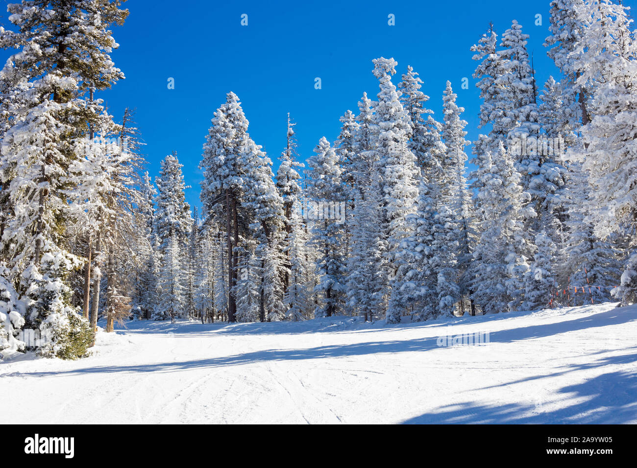 Angel Fire Ski Resort High Resolution Stock Photography and Images - Alamy