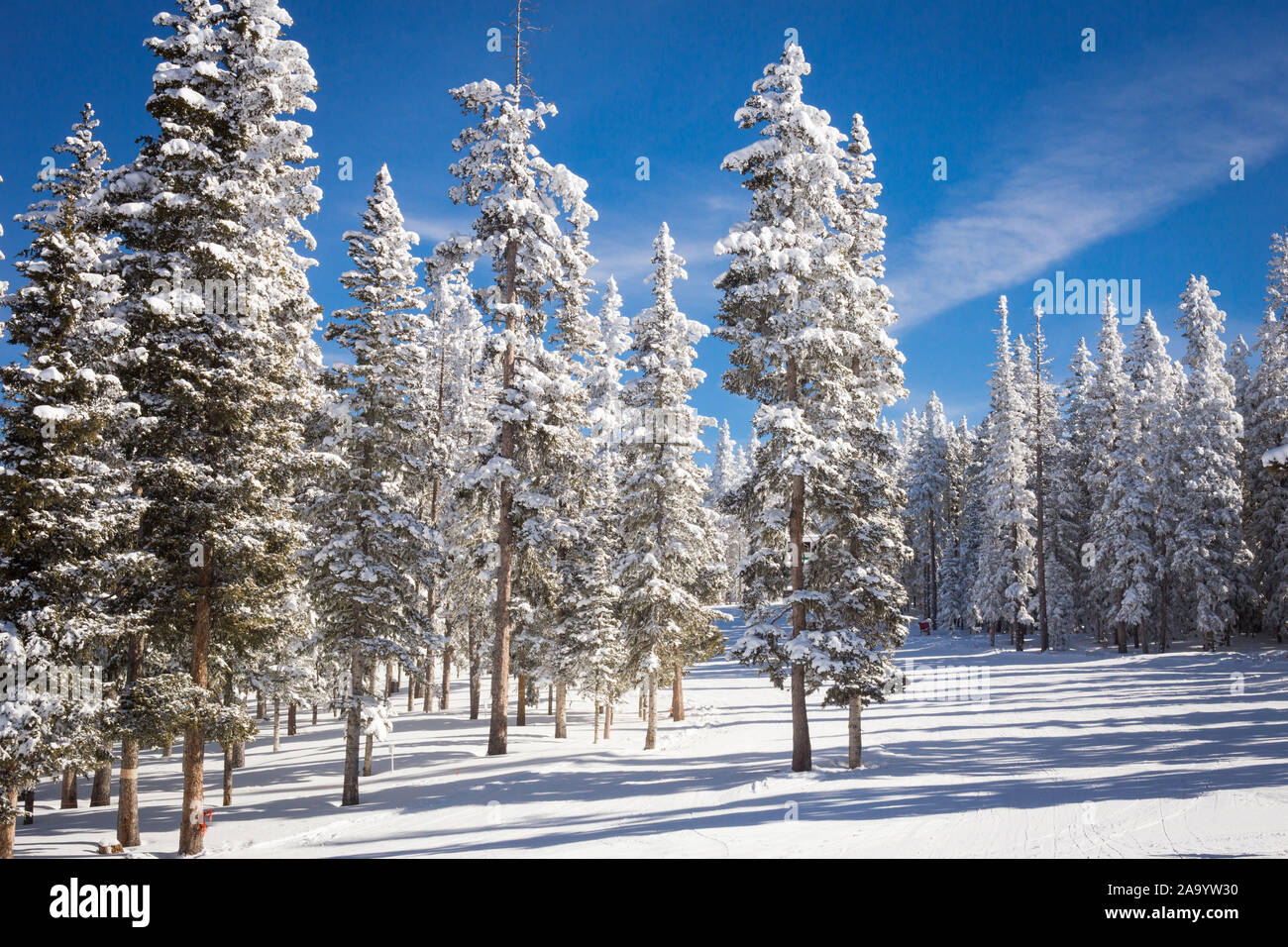 Angel Fire Ski Resort High Resolution Stock Photography and Images - Alamy