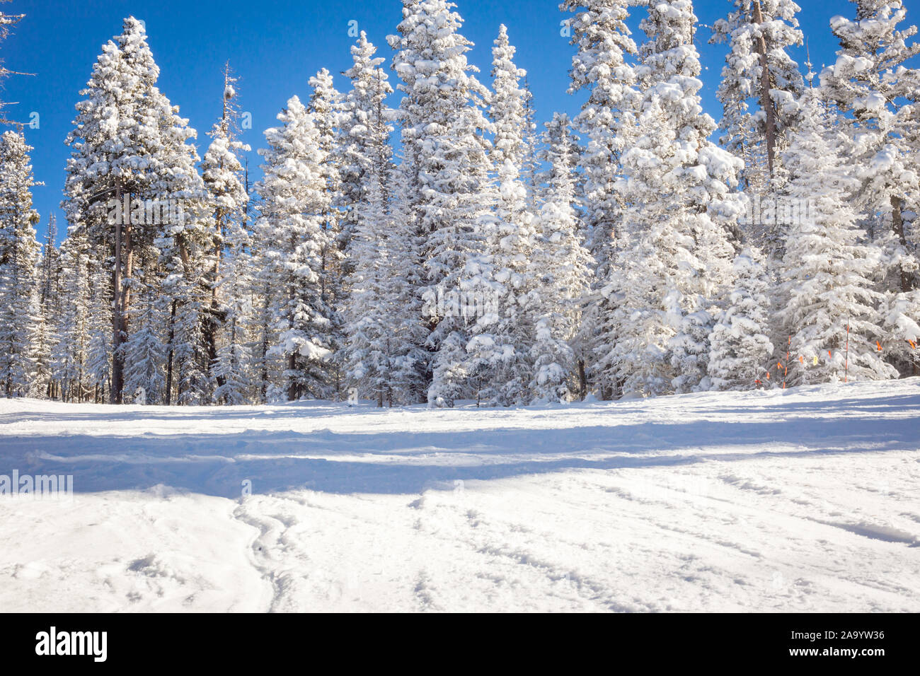 Angel Fire Ski Resort High Resolution Stock Photography and Images - Alamy