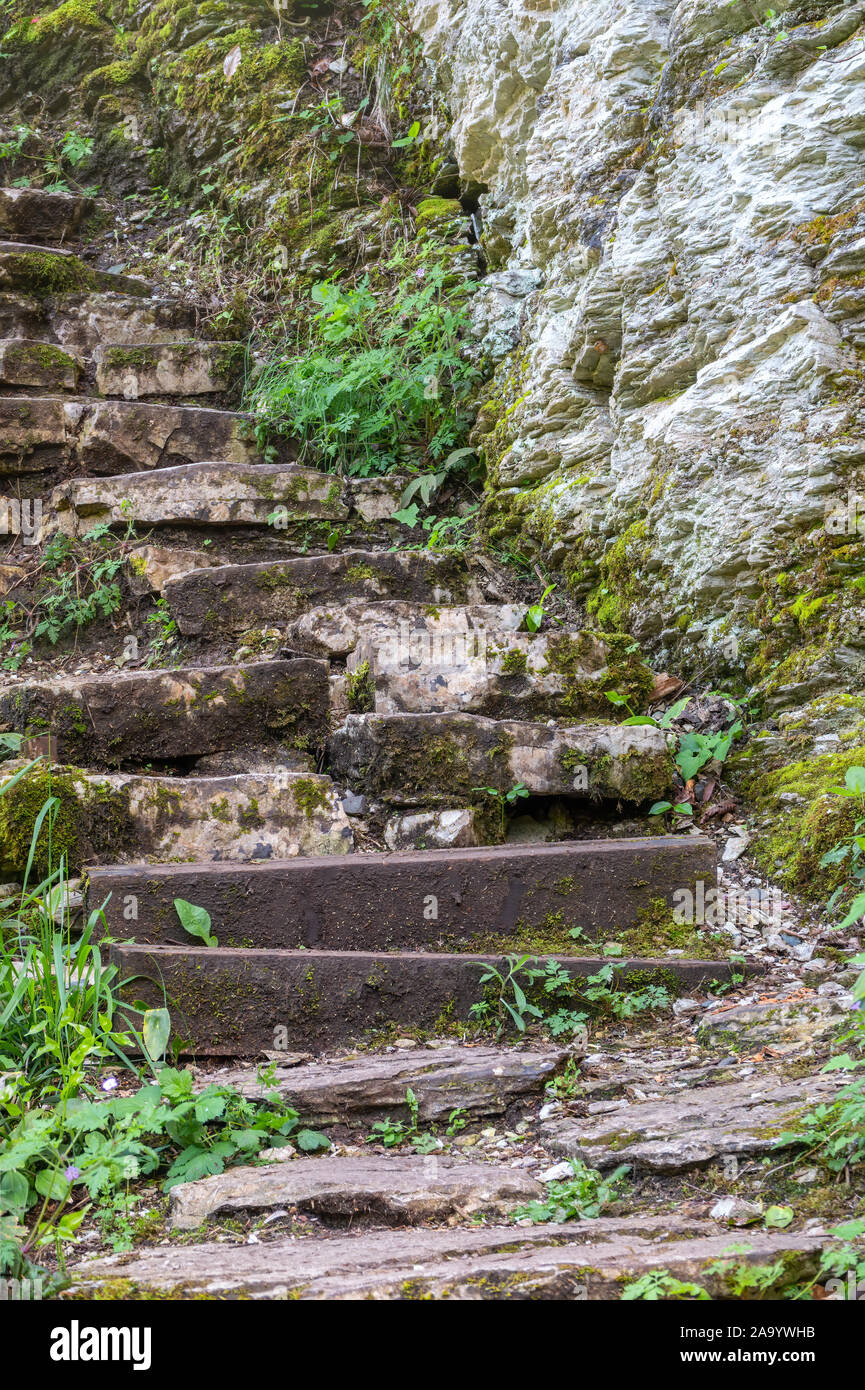 Path with steps carved into a sheer cliff. Old stone steps covered with ...